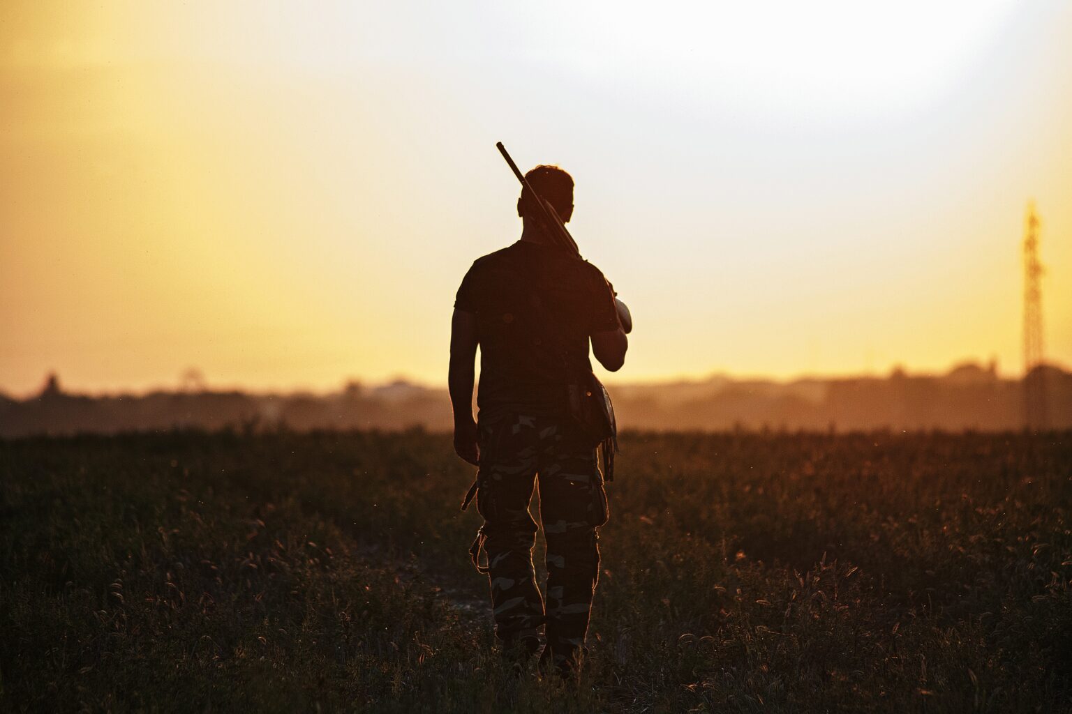 Night Hunting: Secrets to Bagging Game and Avoiding Predators in the ...